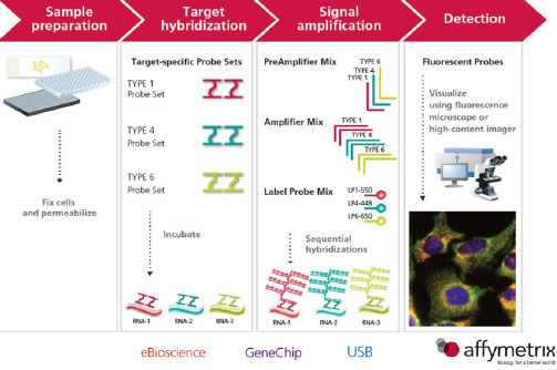 Zen-Bio Contract Services