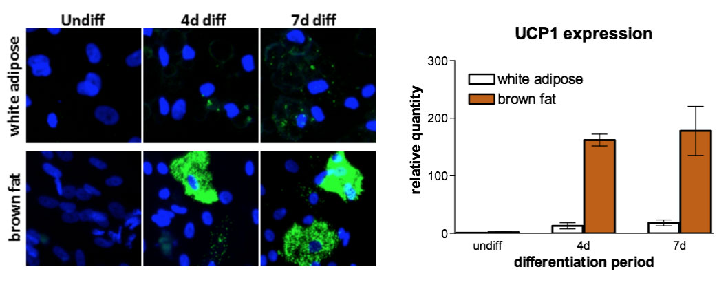 Zen-Bio Contract Services